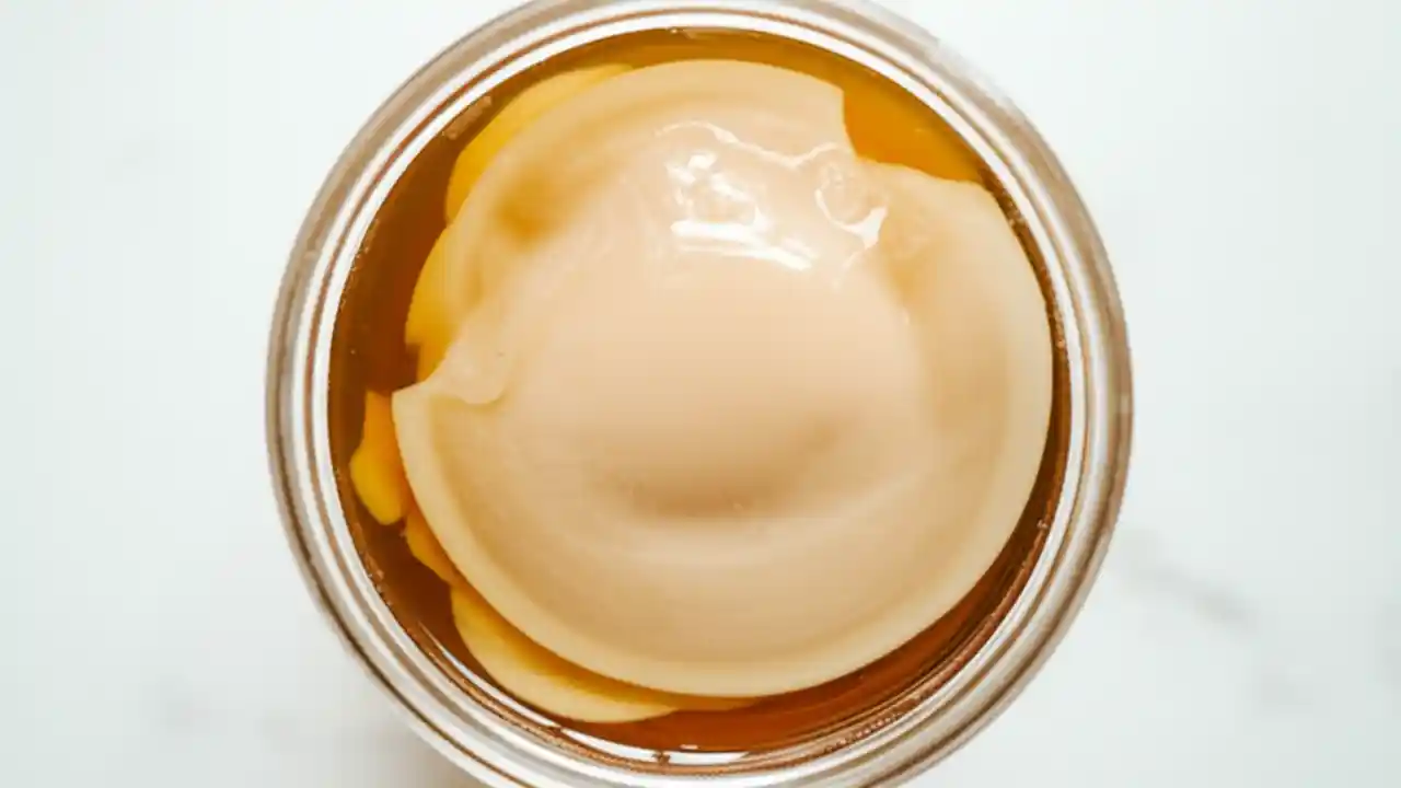 How to Make a Kombucha SCOBY: The Complete Guide